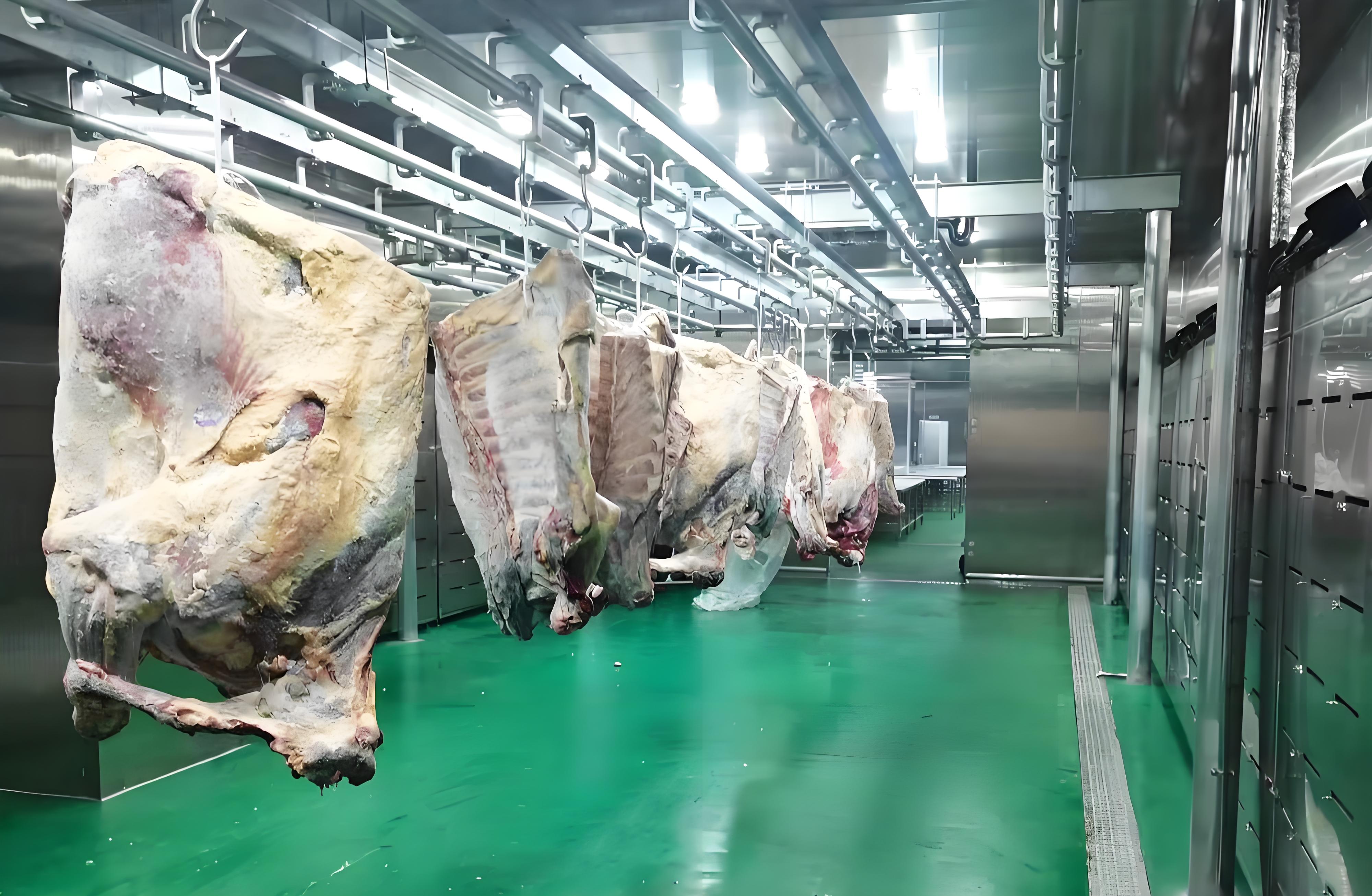 ️ Unlocking Cold Chain Excellence: Focusun’s Cold Storage Solutions for ...