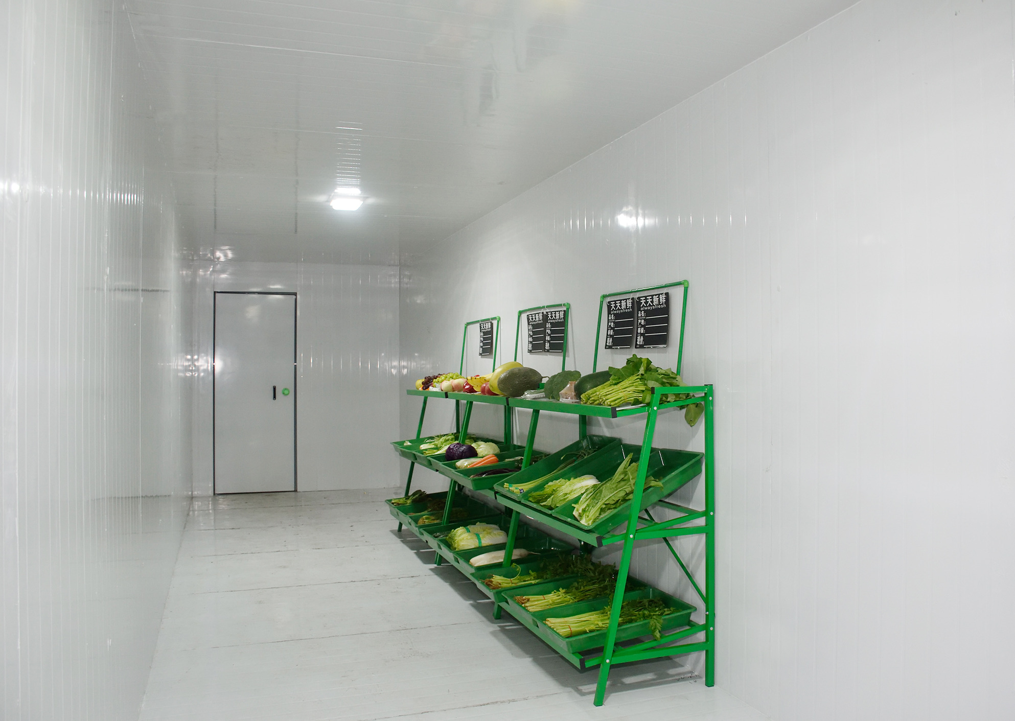️ Unlocking Cold Chain Excellence: Focusun’s Cold Storage Solutions for ...